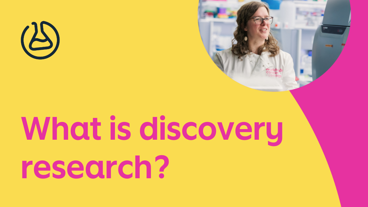 What Is Discovery Research? | Worldwide Cancer Research